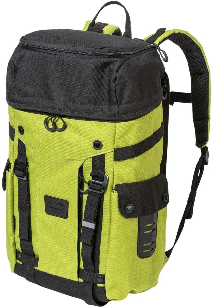 Meatfly scintilla, fresh olive, 26 l