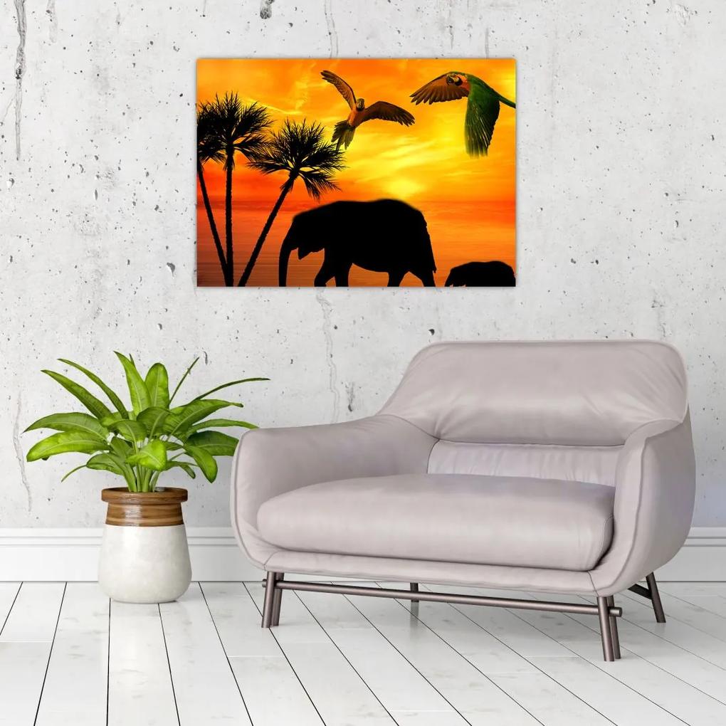Skleněný obraz - papoušci a sloni (70x50 cm)