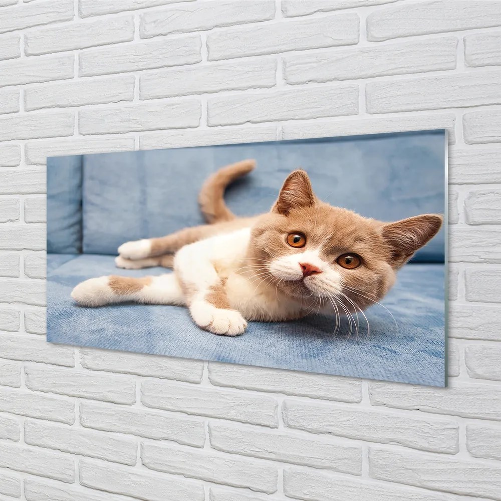 akrylový obraz ležící kočka 125x50 cm