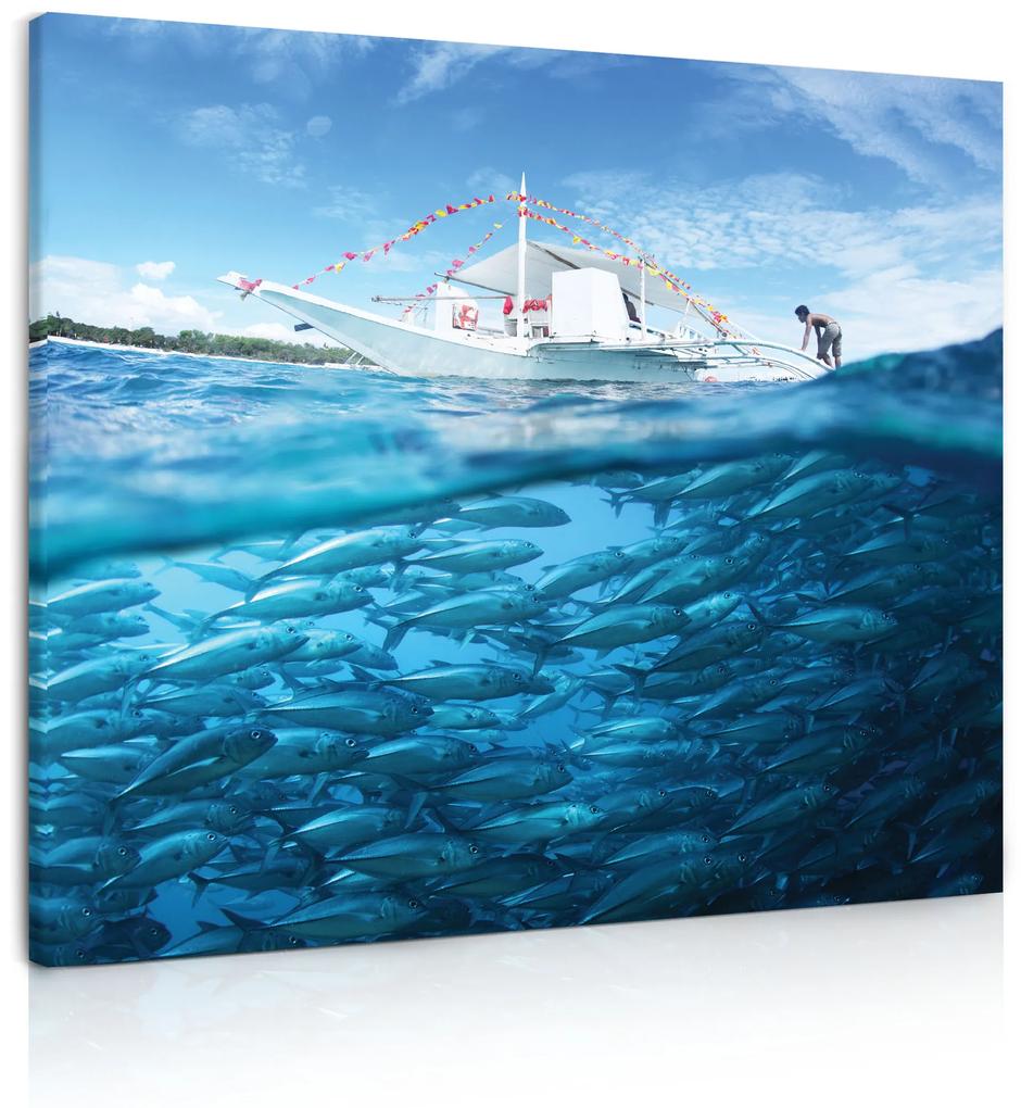 Malvis ® Obraz Hejno ryb Velikost (šířka x výška): 100x100 cm