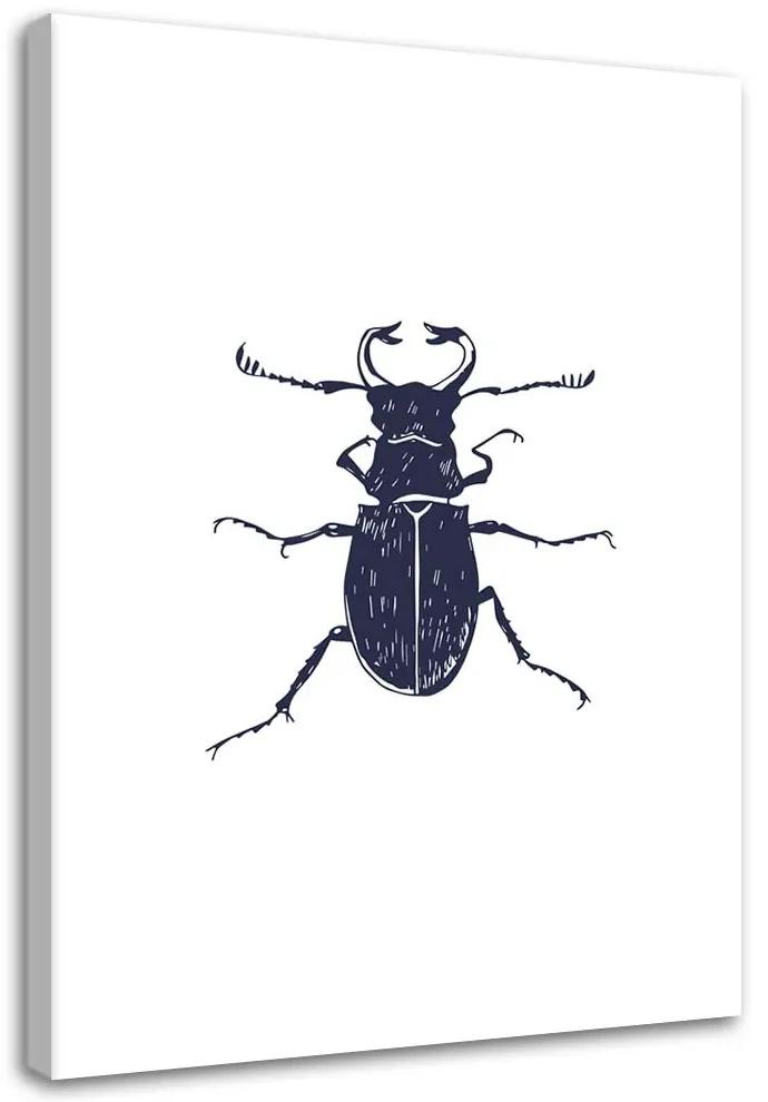 Obraz na plátně Hmyz - 60x90 cm