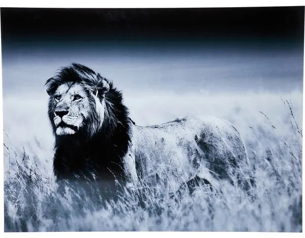 Obraz na skle Lion King Standing 120x160 cm