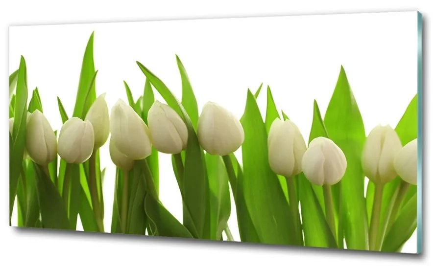 Wallmuralia Foto-obrah sklo tvrzené Bílé tulipány 100x50
