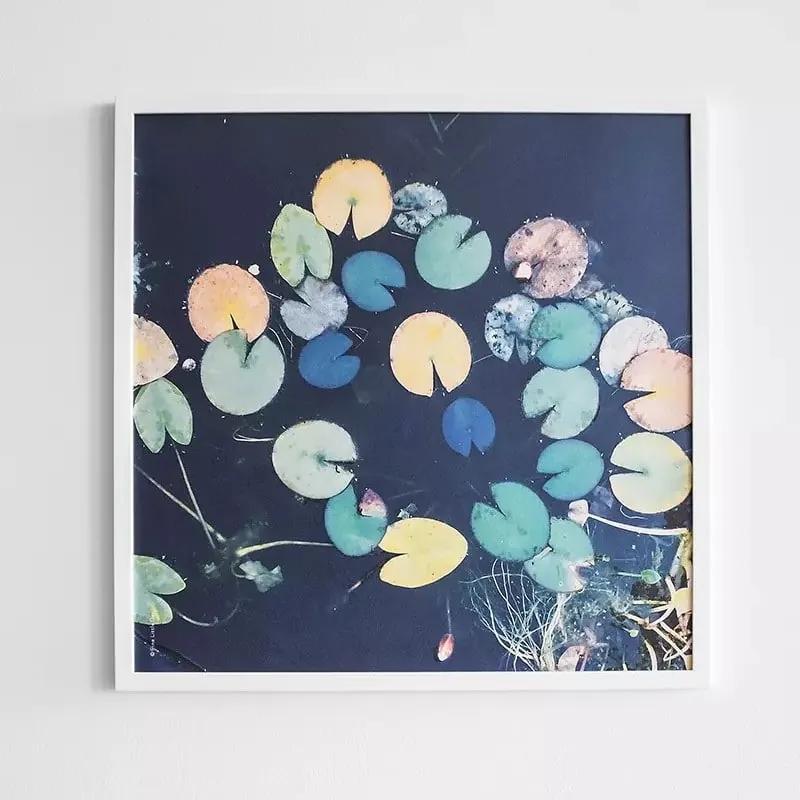 Fine Little Day Plakát Water lilies 50x50 cm, modrá barva, papír