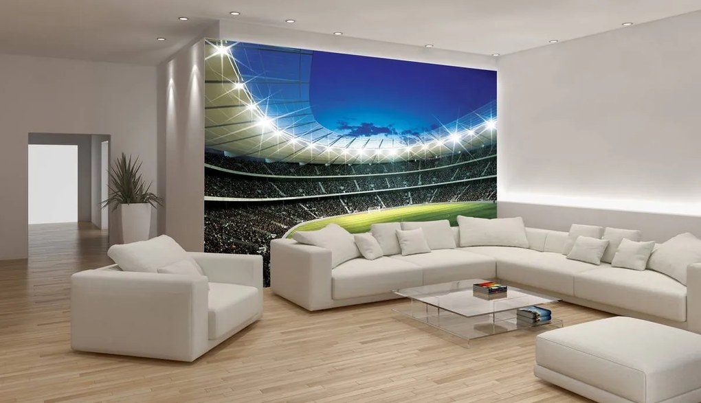 Fototapeta - Fotbal (254x184 cm)