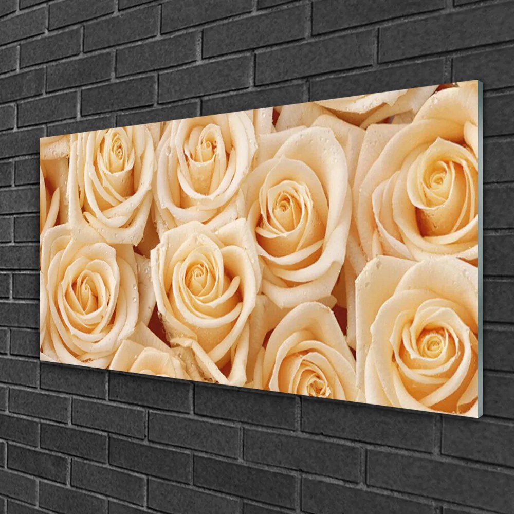 Obraz na skle Růže Květiny Rostlina 120x60 cm