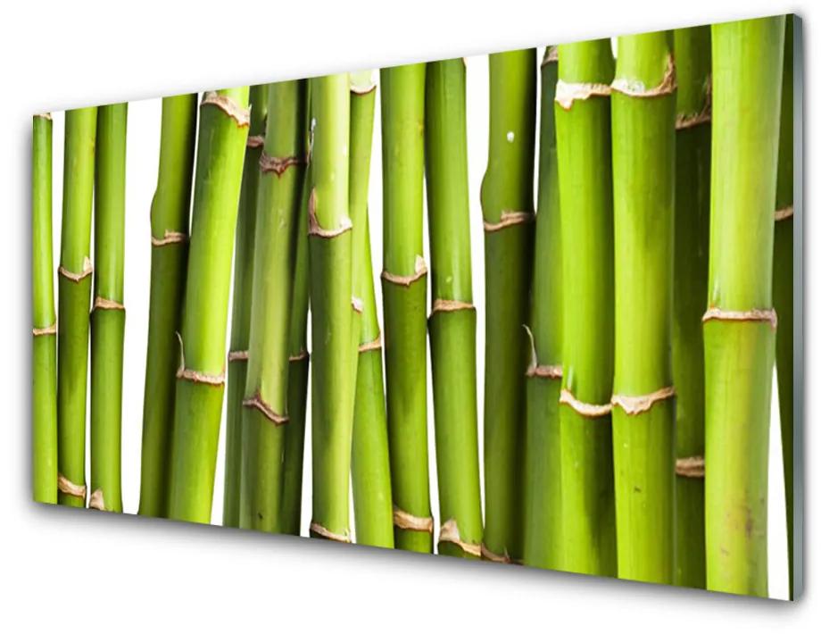 Obraz na skle Bambus Rostlina Příroda 125x50 cm