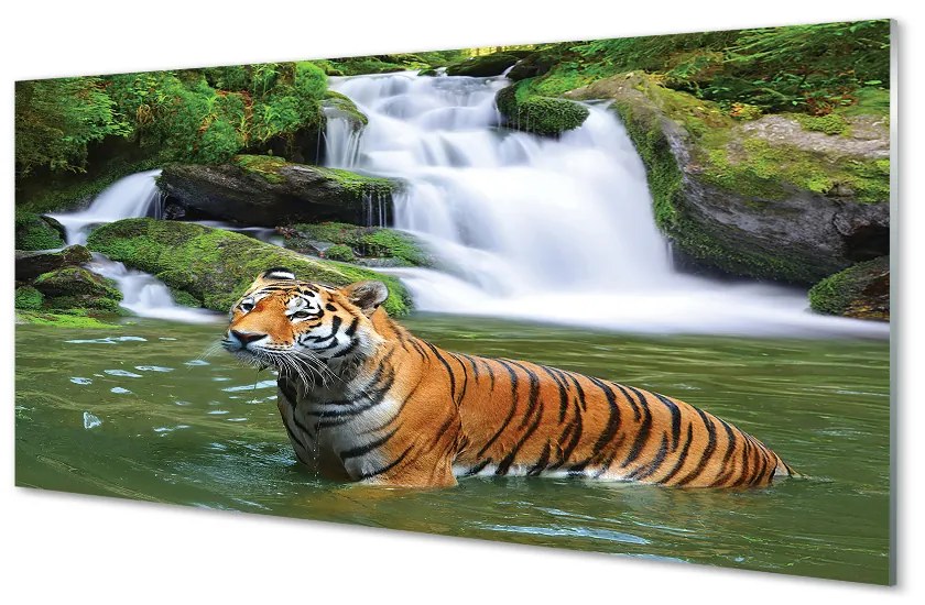 akrylový obraz tygr vodopád 120x60 cm