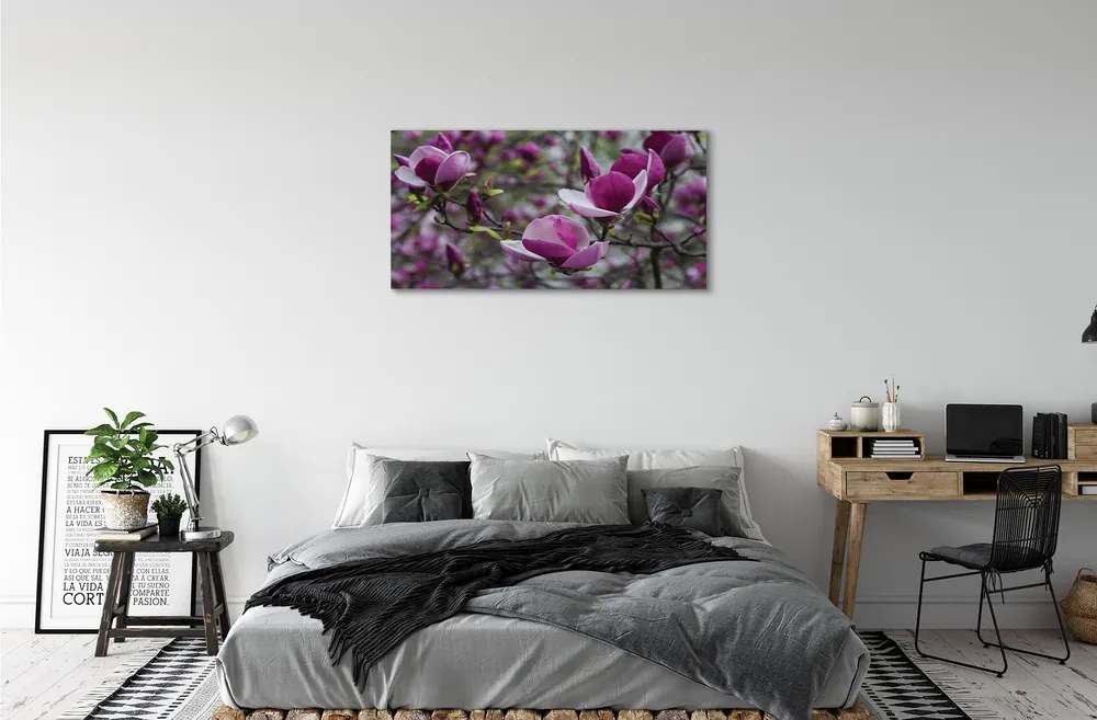 Obrazy na plátně fialové magnolie 100x50 cm