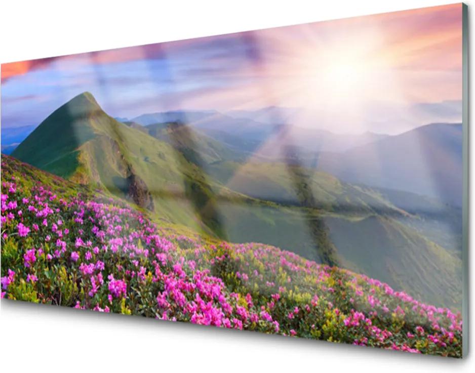 Skleněný obraz Hory Louka Květiny Krajina