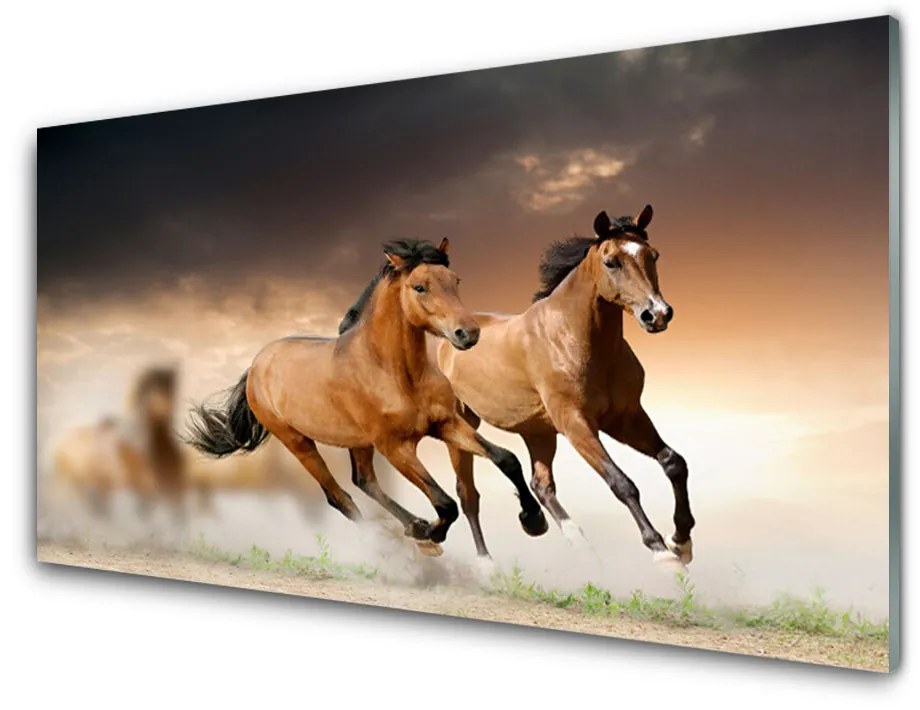 akrylový obraz Koně Zvířata 100x50 cm