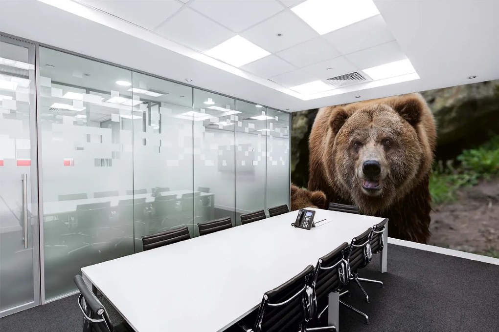DIMEX | Samolepicí vliesová fototapeta na zeď Medvěd grizzly MA-5-0430 | 375 x 250 cm | zelená, černá, hnědá