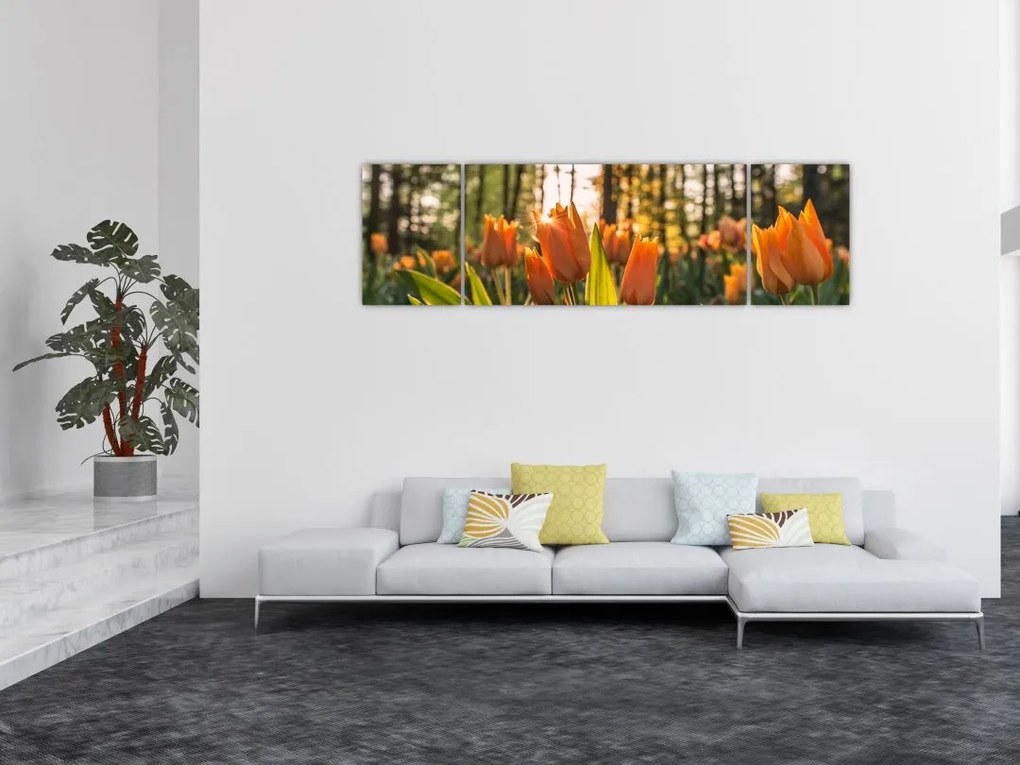 Obraz - oranžové tulipány (170x50 cm)