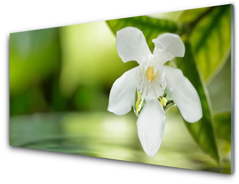 akrylový obraz Květ Listy 140x70 cm