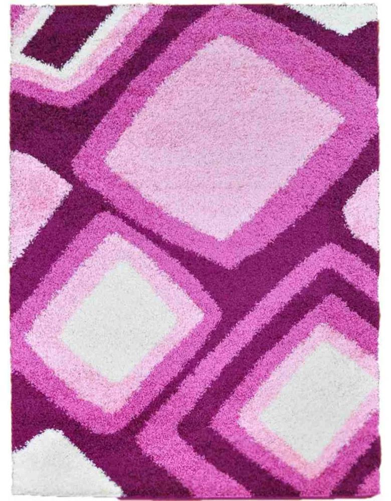 Kusový koberec Shaggy Luna Dajen fialový, Velikosti 160x220cm