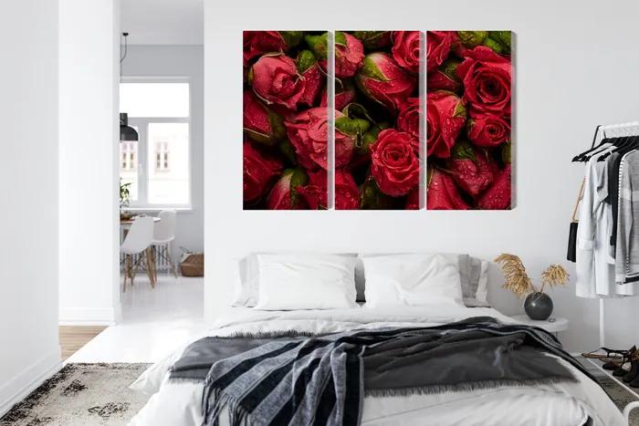 Vícedílný obraz Růže S Kapkami Vody Nedostatek Nedostatek Přírodní plátno 180x120