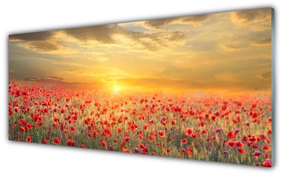 akrylový obraz Slunce Louka Mák Květiny 125x50 cm
