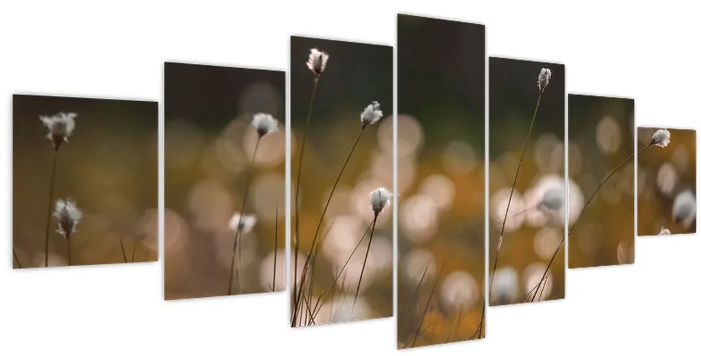 Obraz - Louka s cottongrass N⁰2 (210x100 cm)