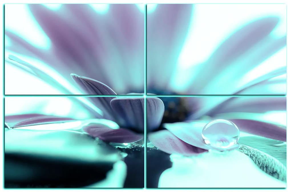 Obraz na plátně - Kapka rosy na lupenech květu 180FD (150x100 cm)