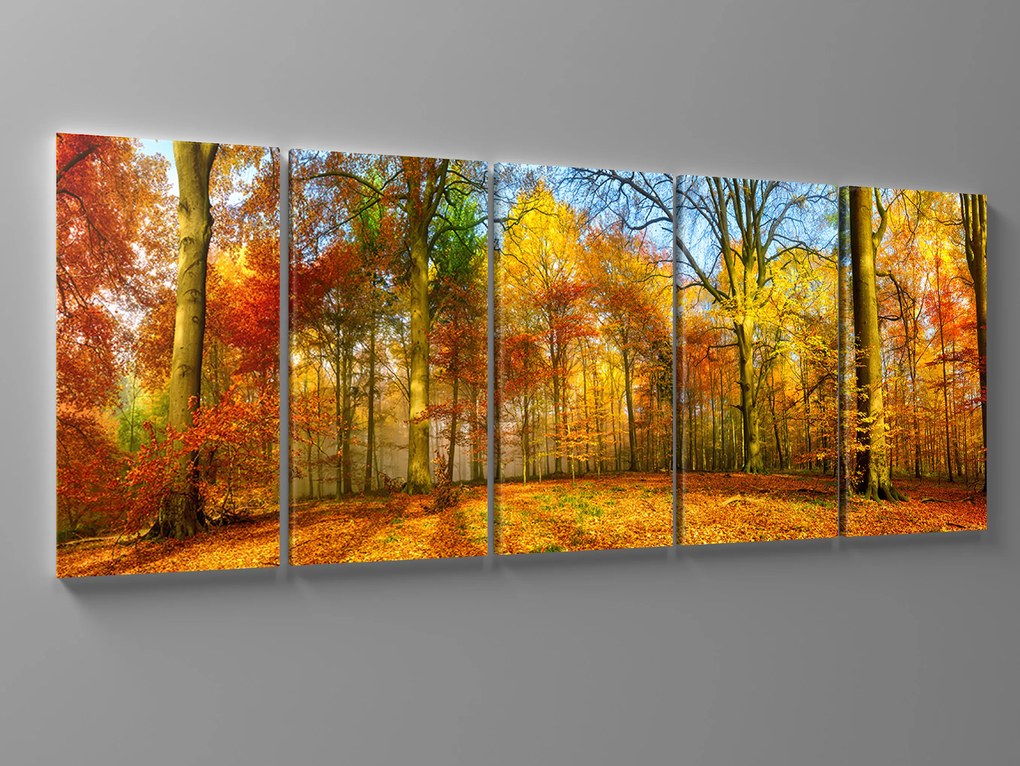 Liox Obraz barevný podzim Rozměr: 250 x 100 cm