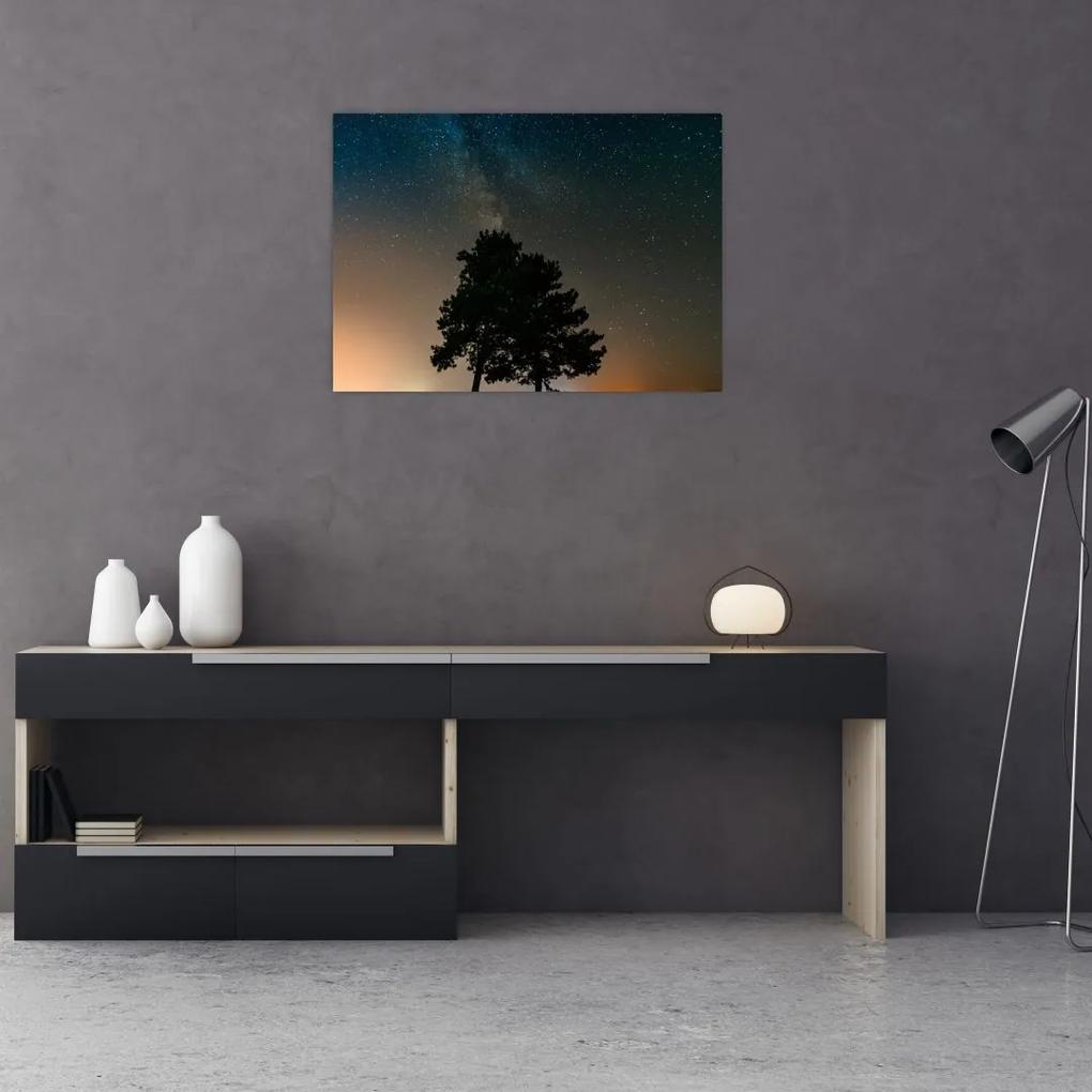 Skleněný obraz noční oblohy se stromy (70x50 cm)