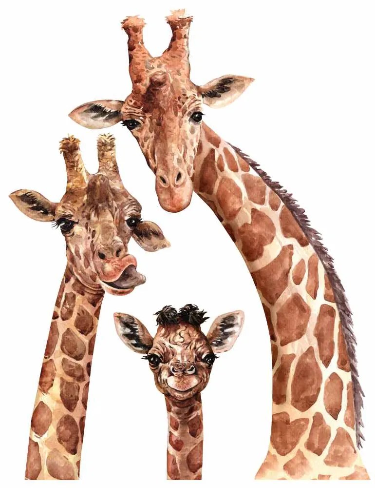 Gario Dětská nálepka na zeď Giraffes - rodina žiráf Rozměry: L