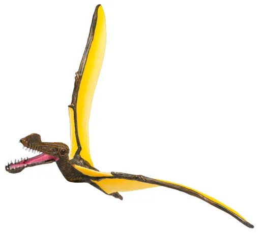 Mojo Tropeognathus
