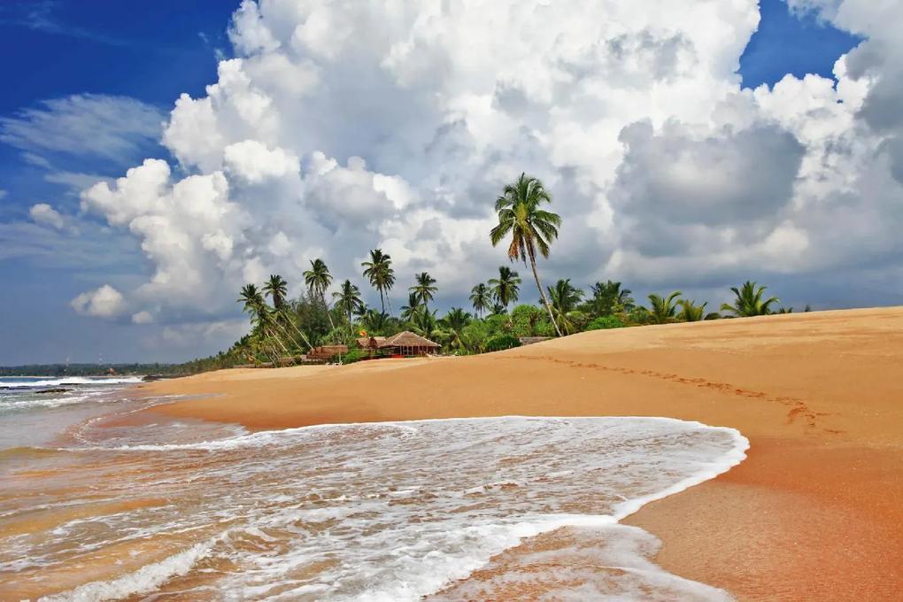 DIMEX | Samolepicí vliesová fototapeta na zeď Divoká pláž Srí Lanky MA-5-3227 | 375 x 250 cm | zelená, bílá, žlutá