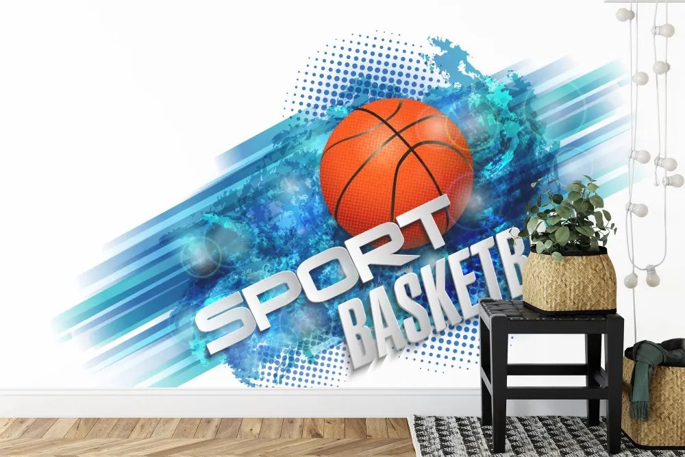 Fototapeta Basketbal V Moderním Stylu Samolepící tapety 270x180