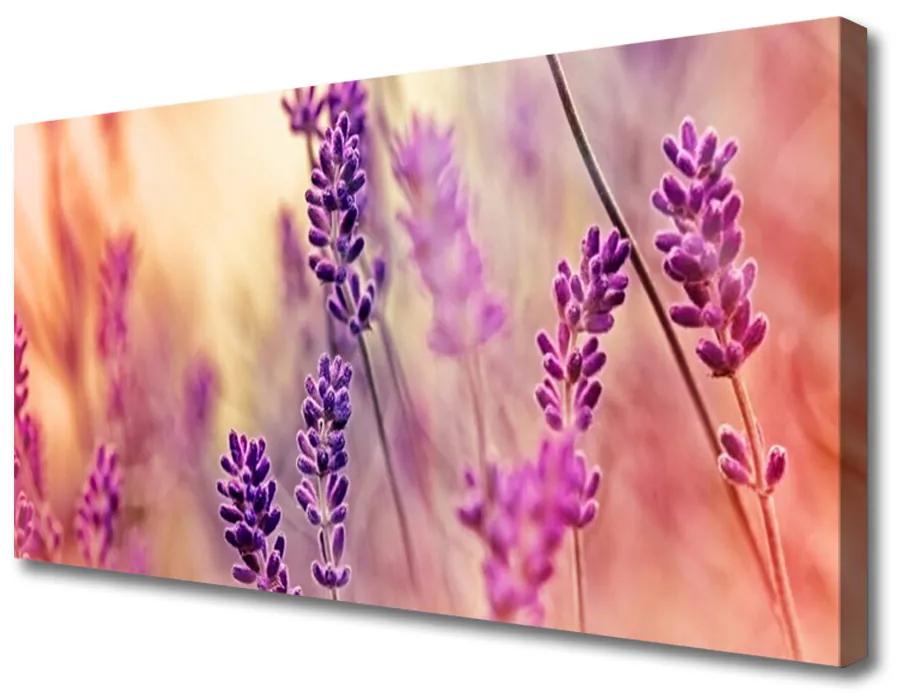 Obraz na plátně Květiny Rostlina Příroda 100x50cm