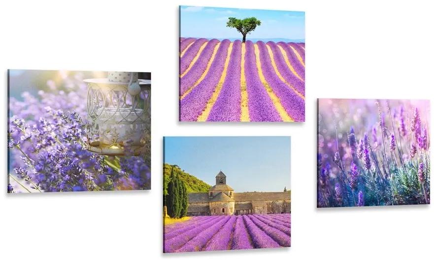 Set obrazů levandulové bohatství - 4x 60x60 cm