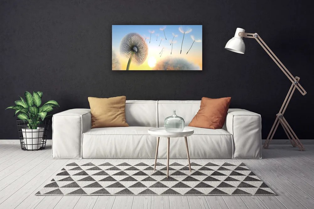 Obraz na plátně Pampeliška Květiny 100x50 cm