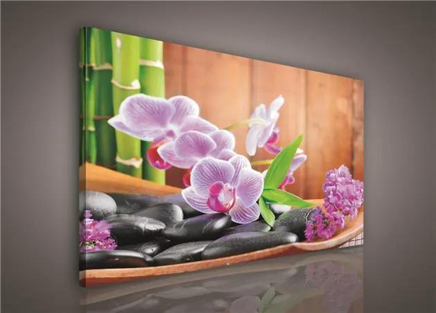 Obraz na plátně orchidej s kameny 100 x 75 cm