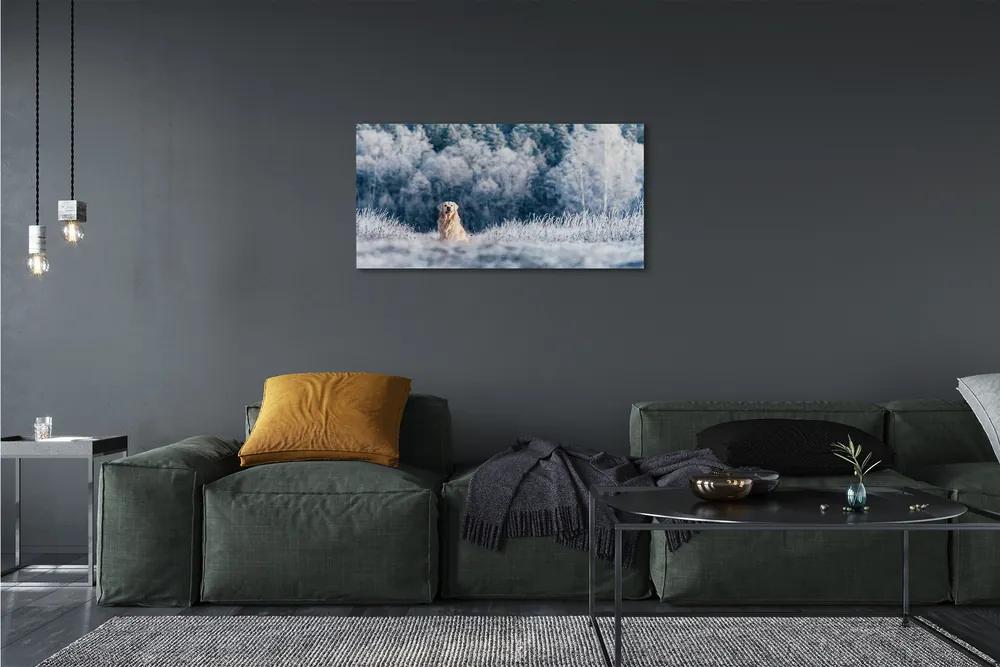 Obrazy na plátně Zimě salašnický pes 140x70 cm