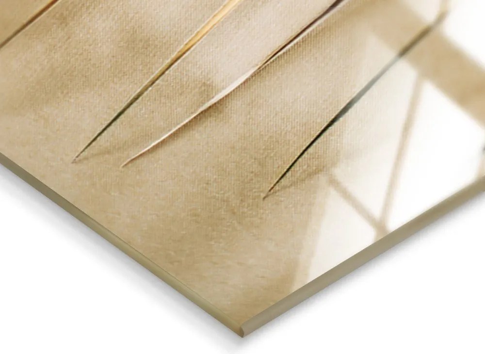 Tištěný skleněný obraz 80x120 cm Gold Palm – Styler
