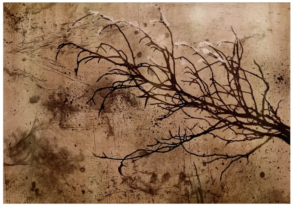 Fototapeta - Rickety Cherry Tree