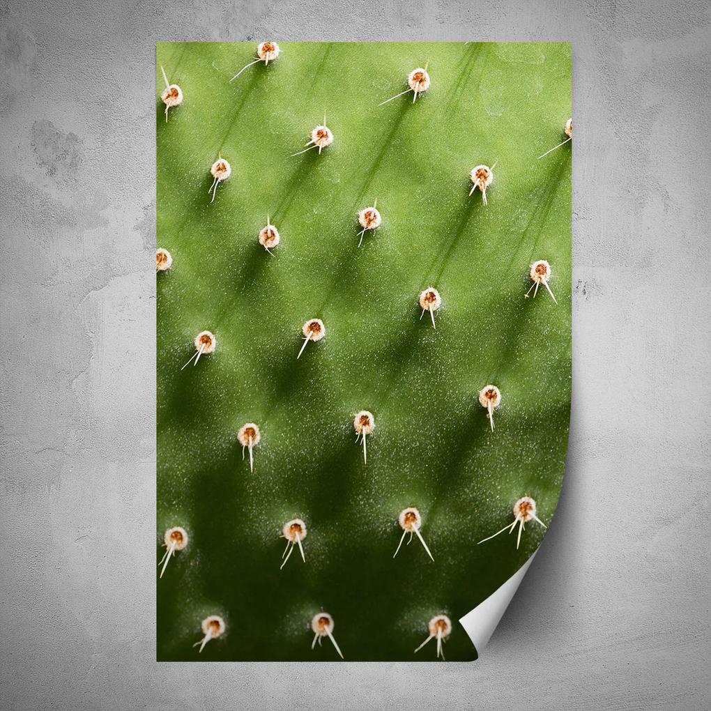 Plakát - Detail kaktusu (80x120 cm) - PopyDesign