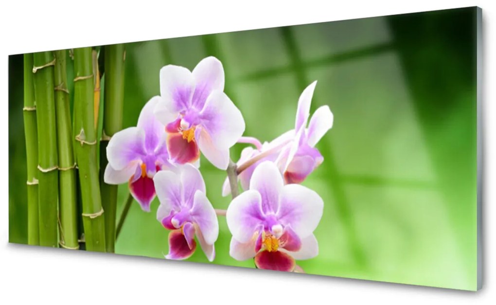 Skleněný obraz Bambus Orchidej Květiny Zen