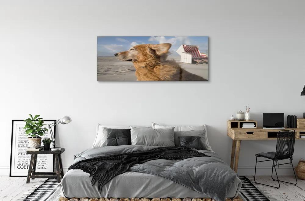 akrylový obraz Hnědý pes beach 120x60 cm
