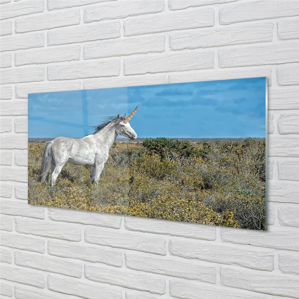 Obraz na skle Unicorn Golf 100x50 cm