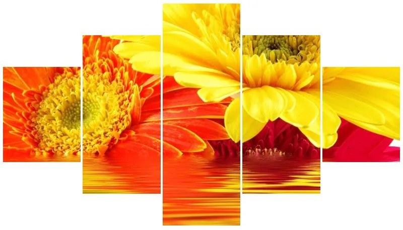 Obraz červenožlutých květů (125x70 cm), 40 dalších rozměrů