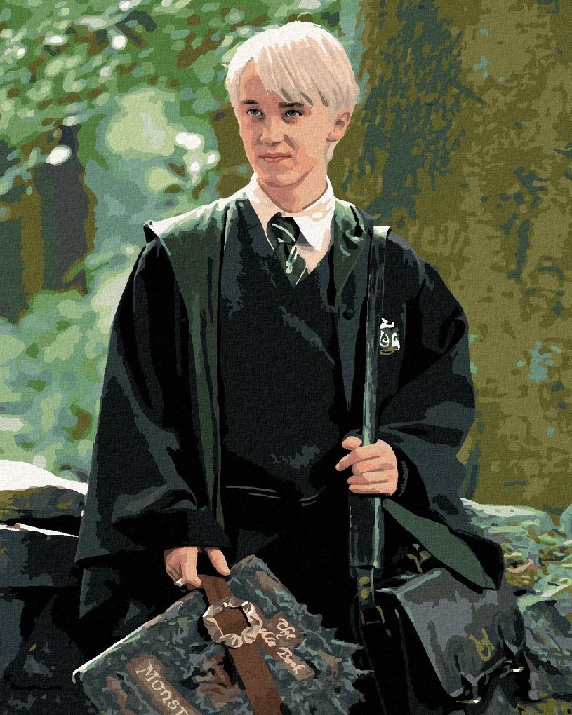 Malování podle čísel draco s obludáriem (harry potter), 40x50 cm, vypnuté plátno na rám
