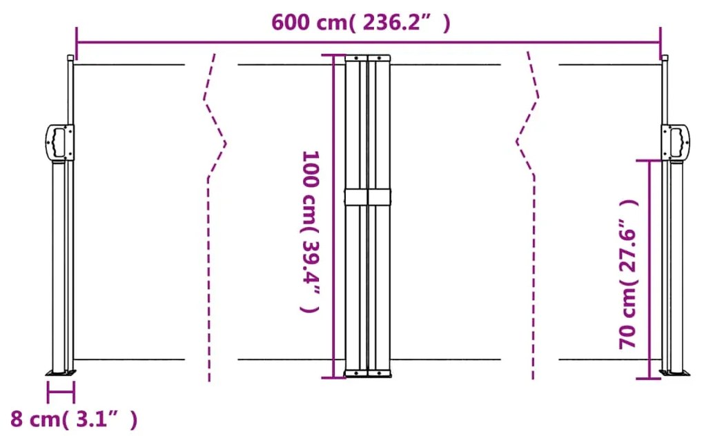 Zatahovací boční markýza hnědá 100 x 600 cm