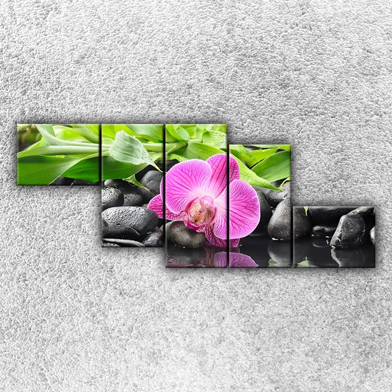 IMPAR Foto na plátno Růžová orchidej 3 170x70 cm