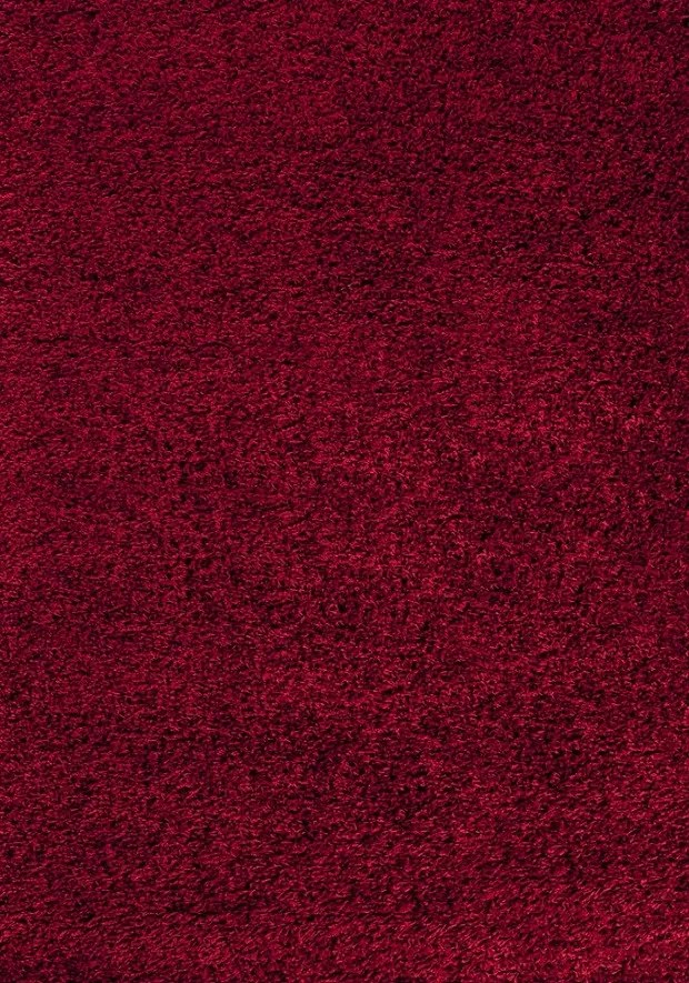 Hans Home | Kusový koberec Dream Shaggy 4000 Red - 60x110