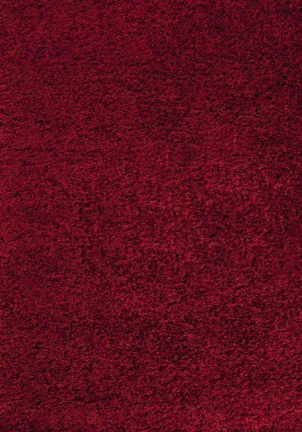 Hans Home | Kusový koberec Dream Shaggy 4000 Red - 80x150