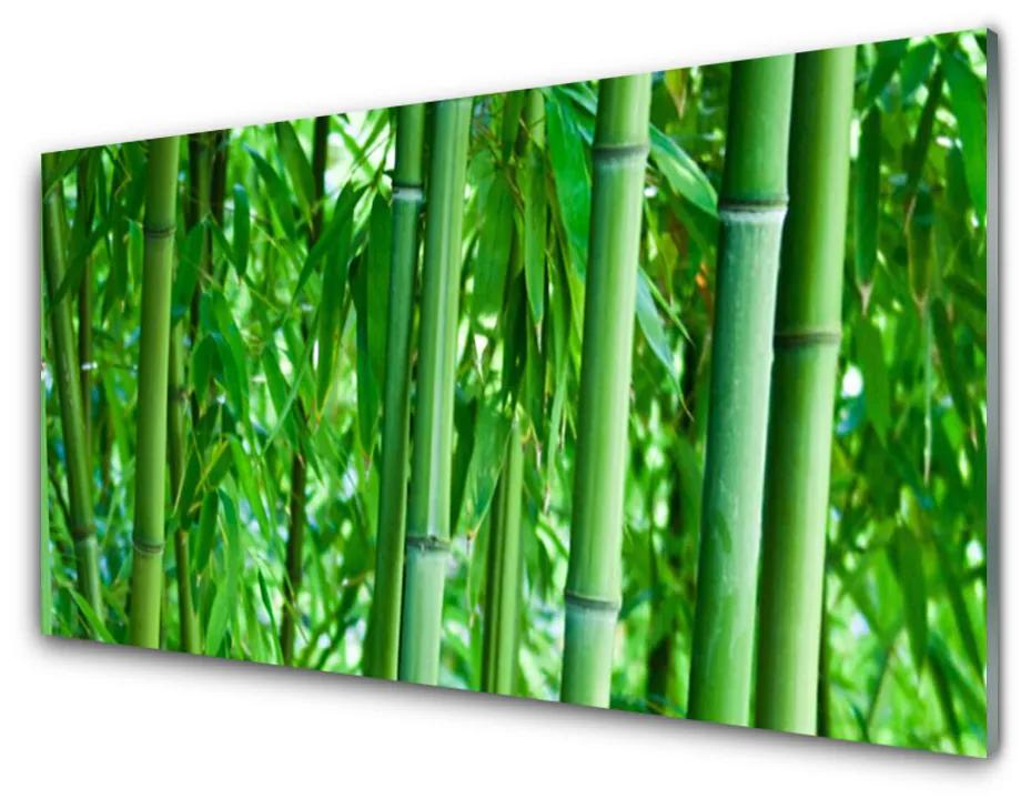 akrylový obraz Bambus Stonek Rostlina 140x70 cm