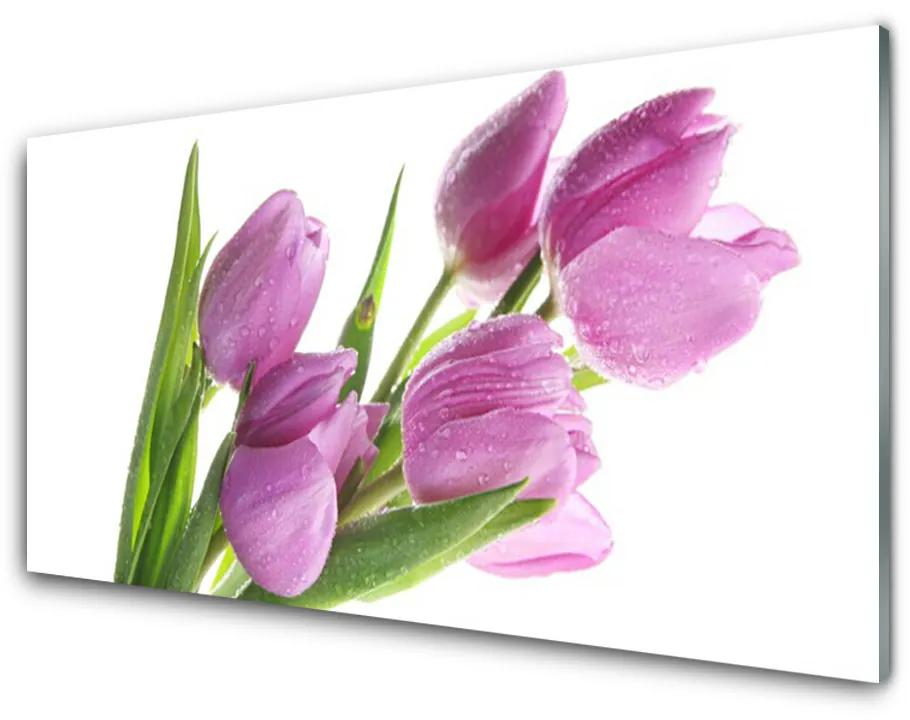 akrylový obraz Tulipány Květiny Rostlina 120x60 cm