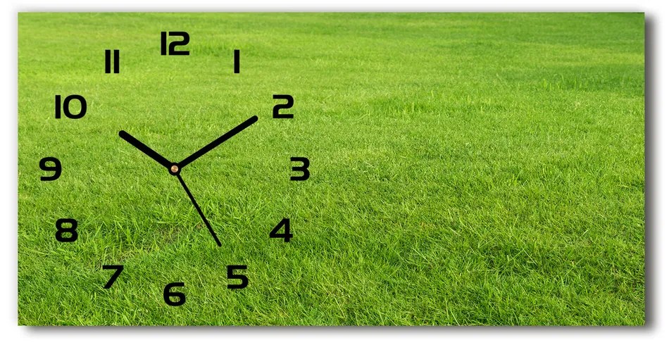 Wallmuralia Skleněné hodiny na stěnu tiché Zelená tráva 60x30 cm
