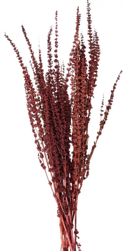 Sušené květy červené 85 cm (100 gr) – 85 cm